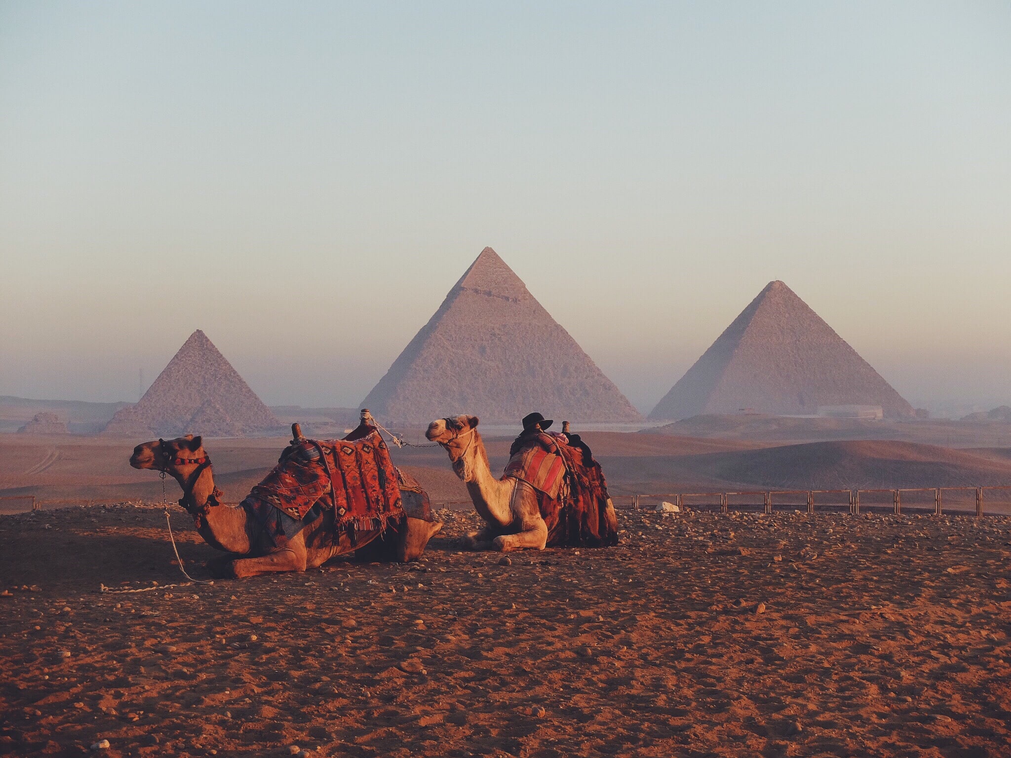 Guided Tour of Cairo - Private Chauffeur and Guide