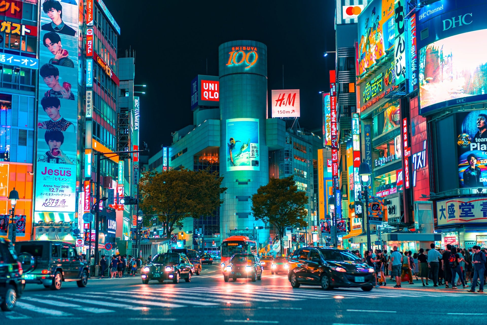 Tokyo Guided Tour - Private Chauffeur and Tour Guide